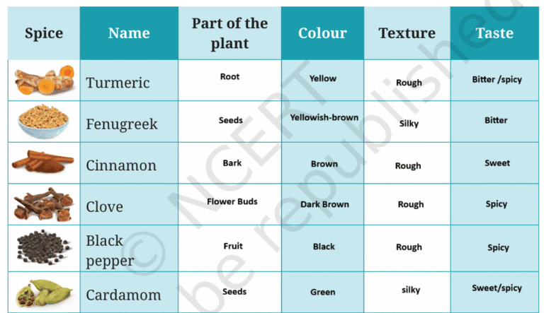 Poorvi | NCERT Class 6 English Chapter 9 Question Answer Solved ...